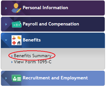 Screenshot ESS_Ben Summary – RCUH